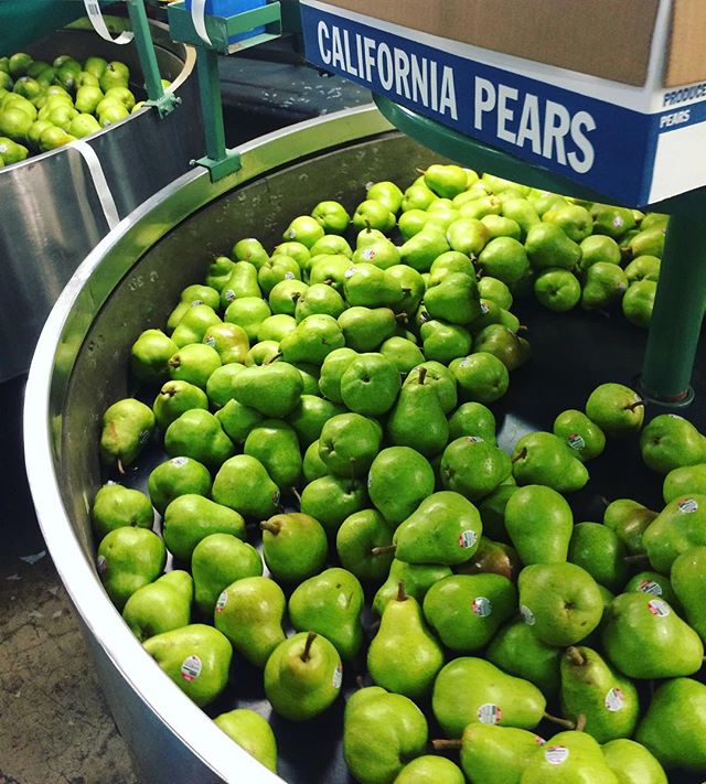 Our Fruit | Stillwater Orchards