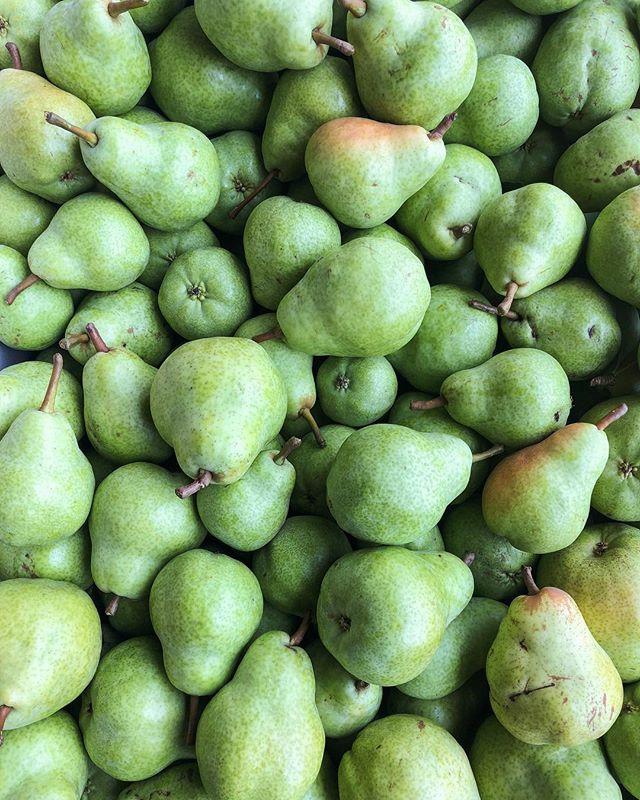 Our Fruit | Stillwater Orchards