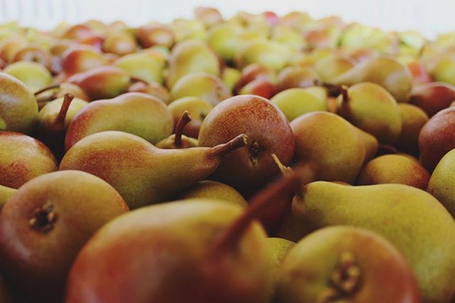 Our Fruit | Stillwater Orchards