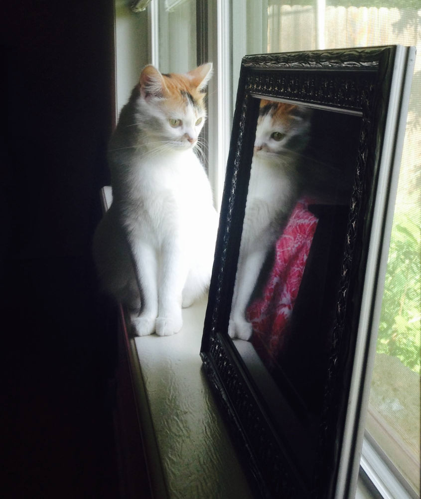 "In"side and "Out"side | Kirtan and Kundalini