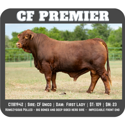 CF PREMIER SEMEN - $200/STRAW | Strategy Cattle