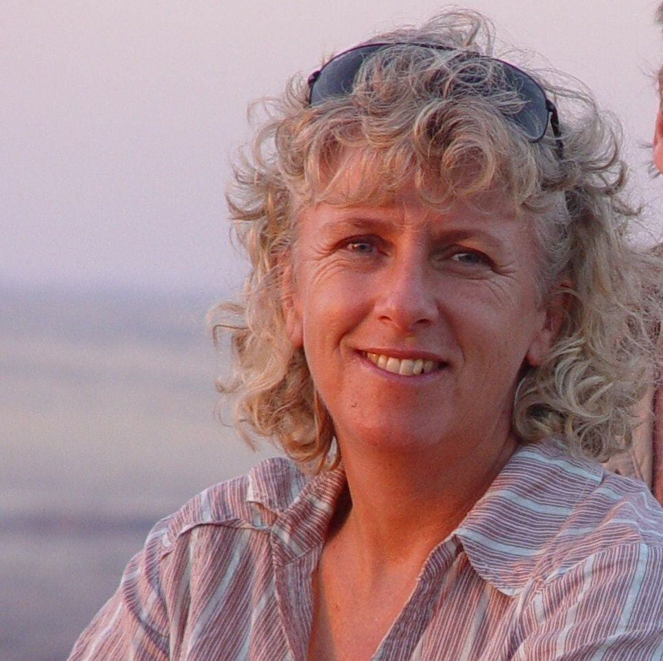 Sue Adams | The Writing Room