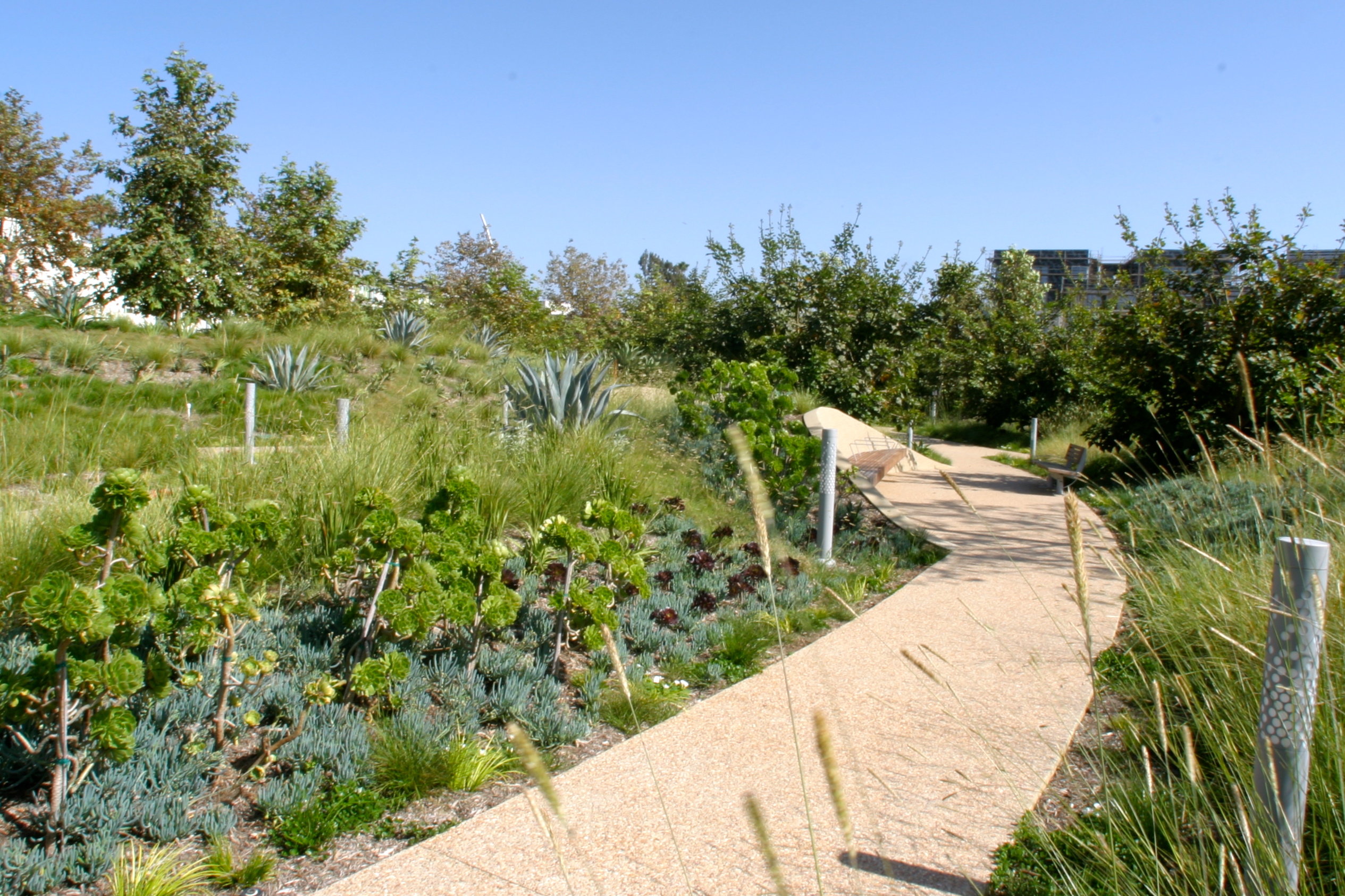 Tongva Park | shawconstruction