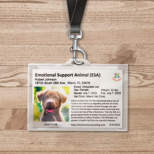 ID CARD ESA | RJimenez Learning