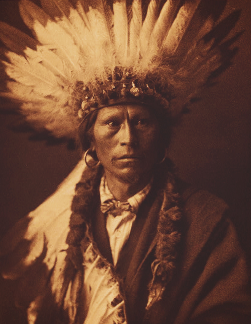 Indigenous Relationships | evolution