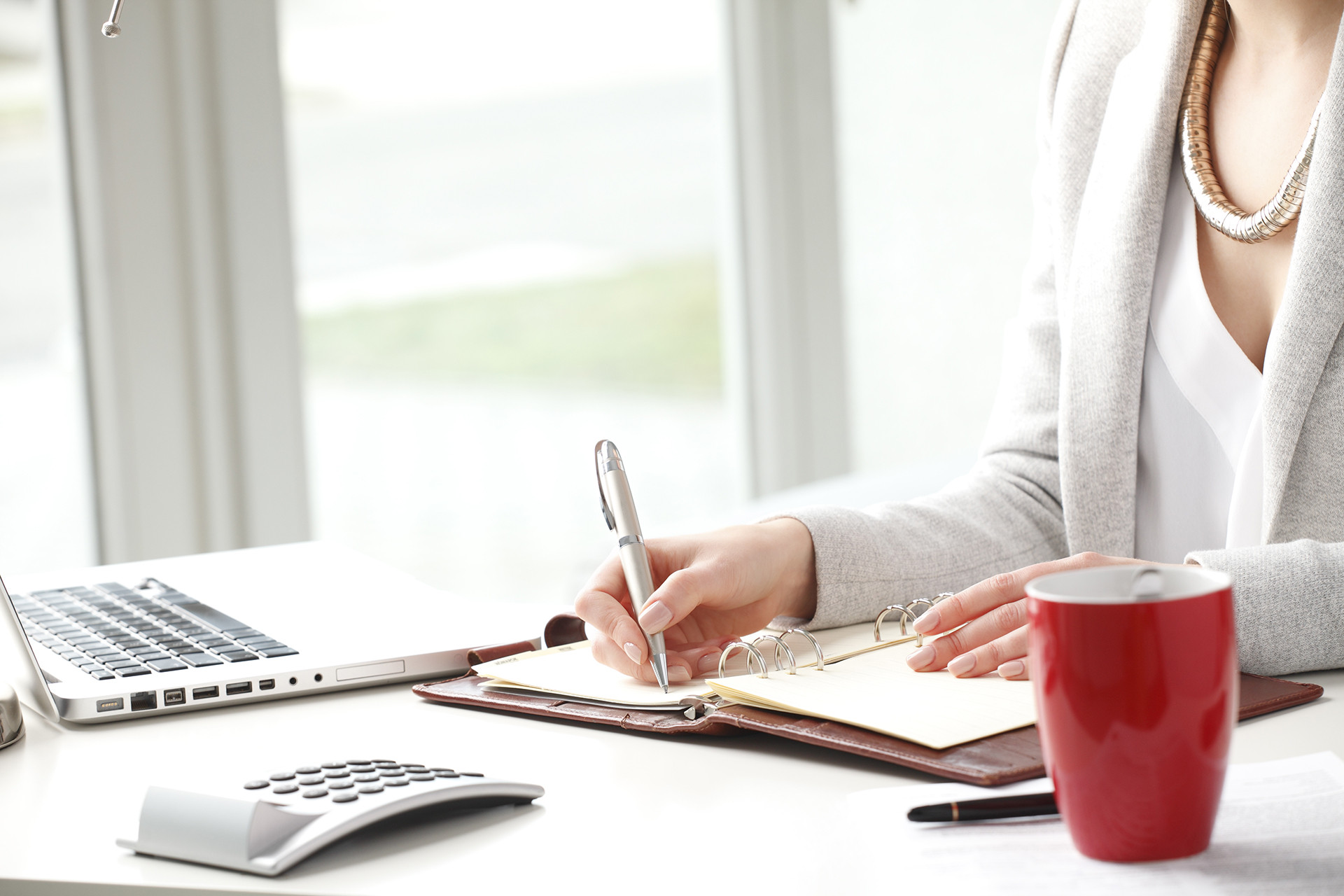 Licenciatura en Contaduría Pública | Universidad OMI