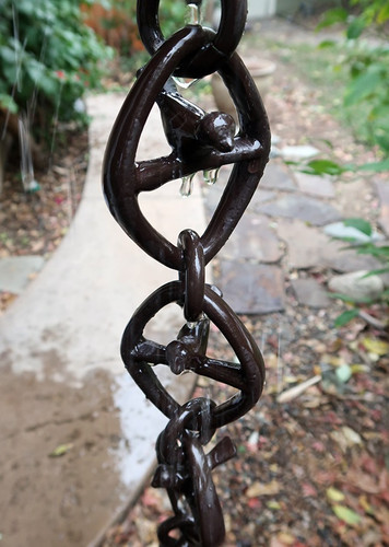 Bird Links | rainchainschg