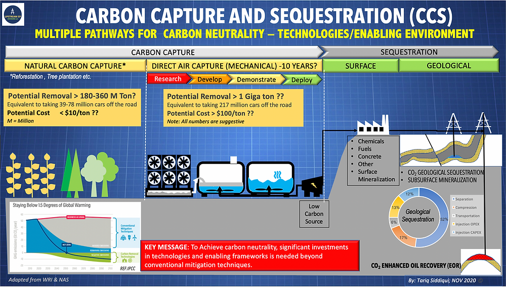 Multiple Pathways To Carbon Neutrality