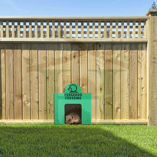 Fence Holes - Hedgehog Highlights - Hornbeam Wood Hedgehog Sanctuary