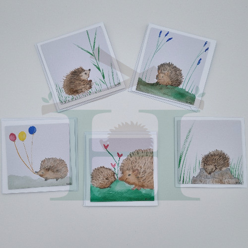 Handmade Watercolour Hedgehog Cards - Pack of 5 | Hedgehog Sanctuary