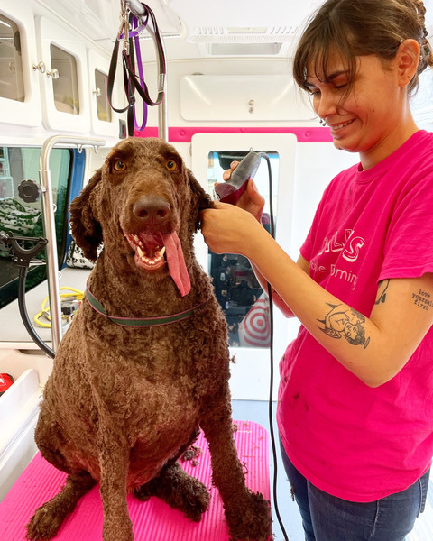 About | Lilly's Mobile Grooming