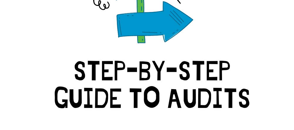 Step-By-Step Guide to Audits in Early Intervention and How EasySteps Helps