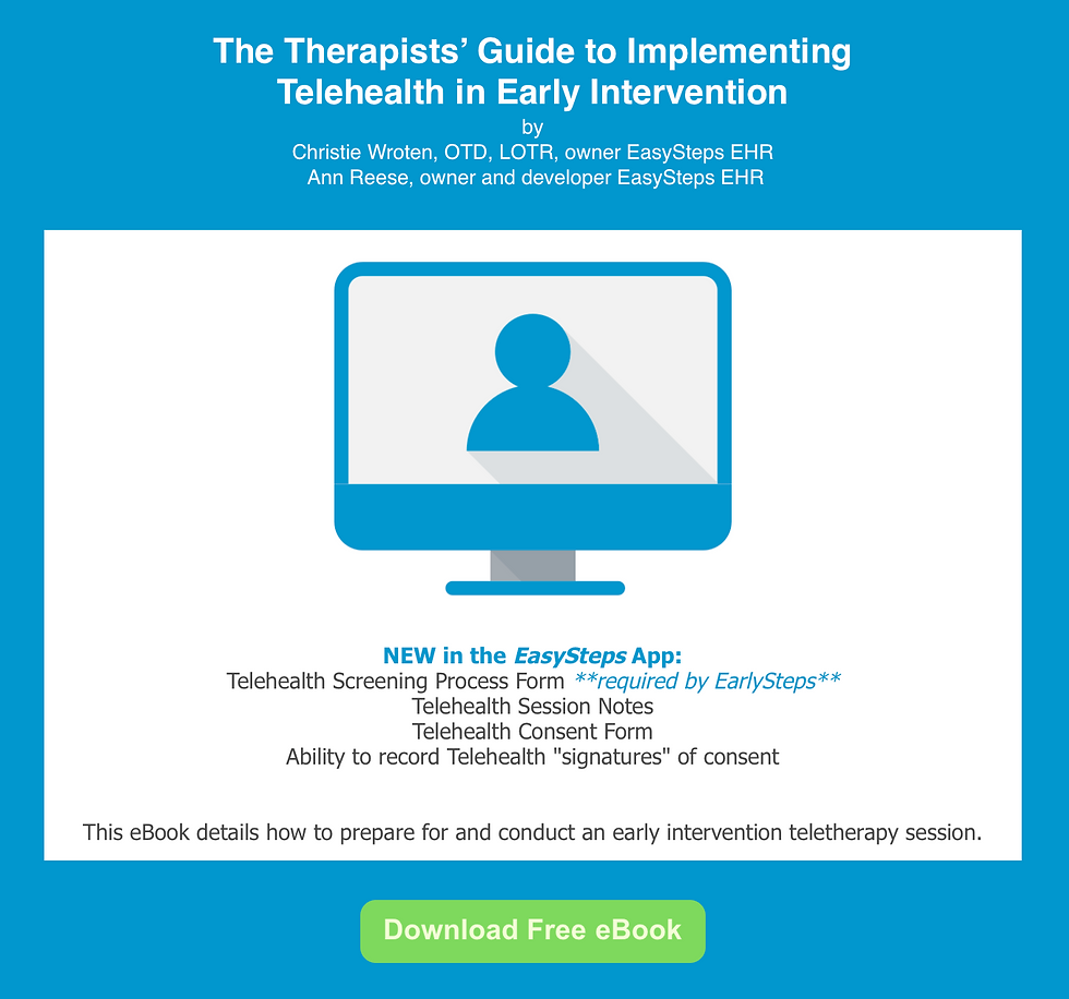Outline of an Early Intervention Teletherapy Session