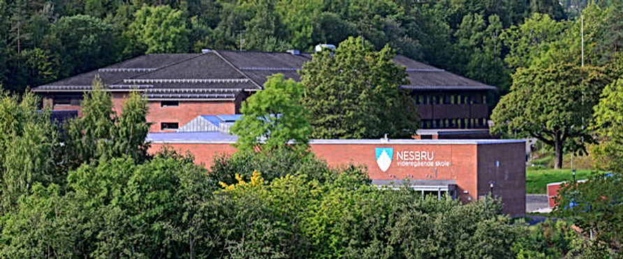 Home | Nesbru High School