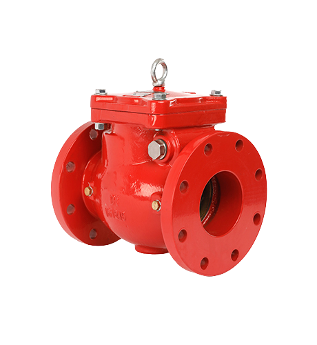 FLANGED CHECK VALVES | ValveFit