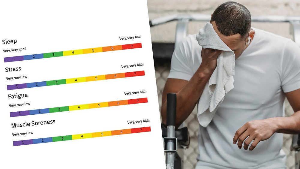 Wellness Questionnaires for Athlete Monitoring