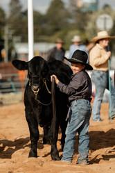 HOME | Casino Beef Week