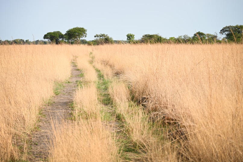 Activites | Mapunga Bush Camp | Zambia