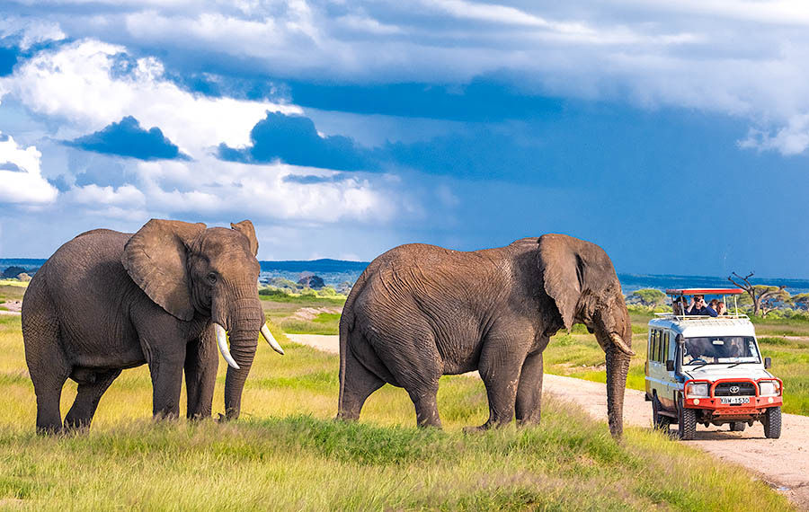 Kenija - potovanje kot FotoSAFARI