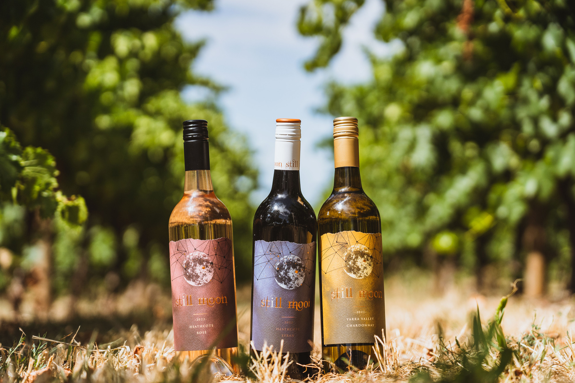 About | Still Moon Wines | Trentham Restaurant & Cellar Door