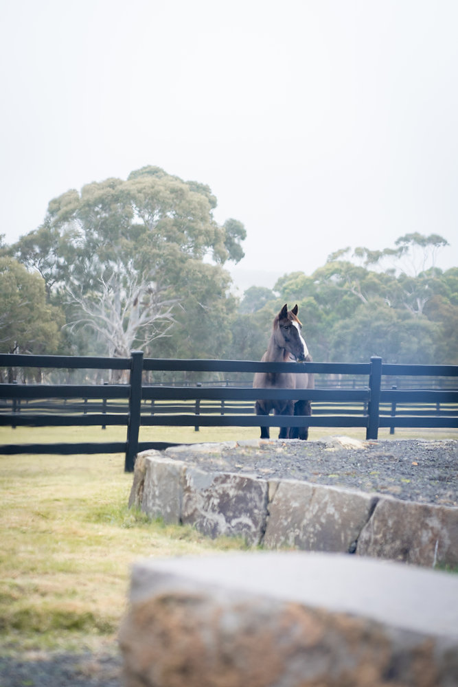 Beware of Cold Weather Colic!