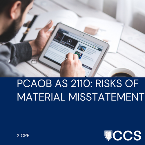 PCAOB AS 2110: Identifying & Assessing Risks of Material Misstatement ...