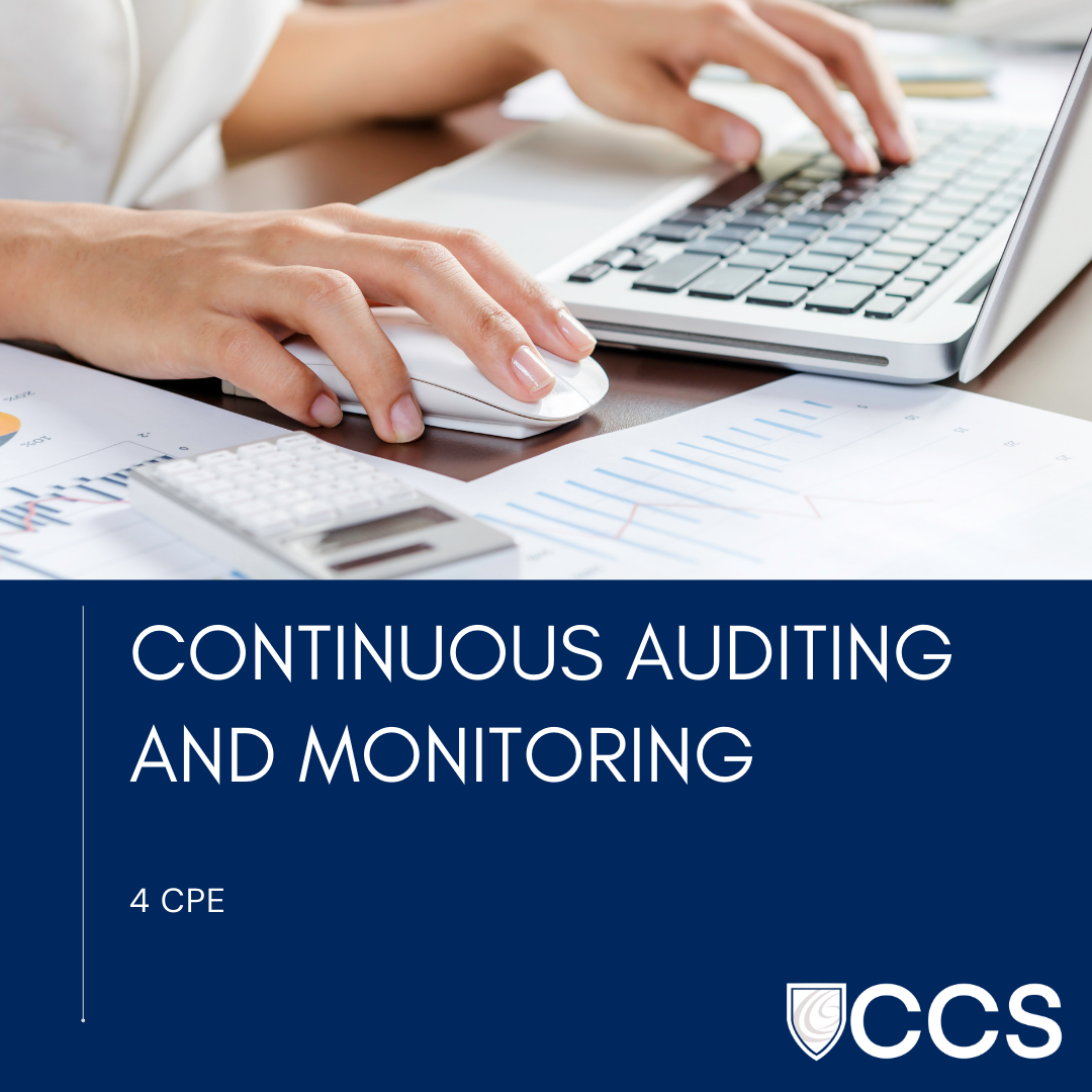 Continuous Auditing and Monitoring - IP