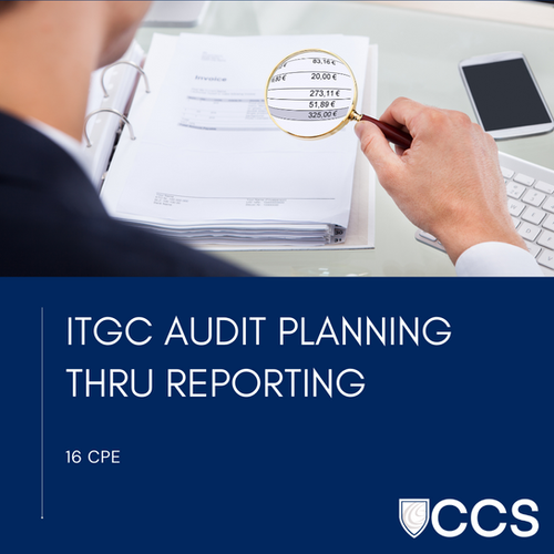 ITGC'S Audit Planning Thru Reporting - In-Person | CPE Training Events