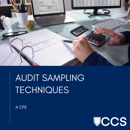 Audit Sampling Techniques - In-Person | CPE Training Events