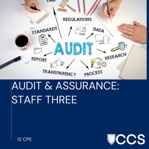 Audit & Assurance: Staff Three | TheAccountwareGroup