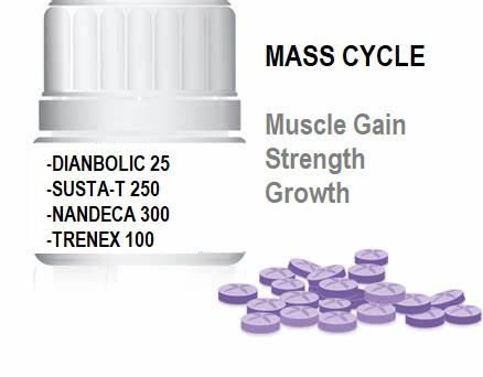 Mass Cycle | My Site