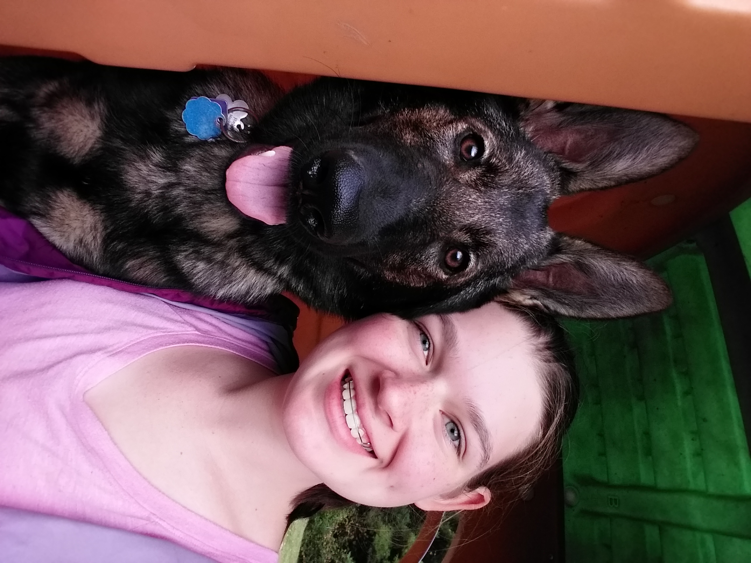 GALLERY | clarksdogkennel