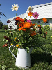 Flowers, Flowers, and More Flowers | Berry and Bloom Farm