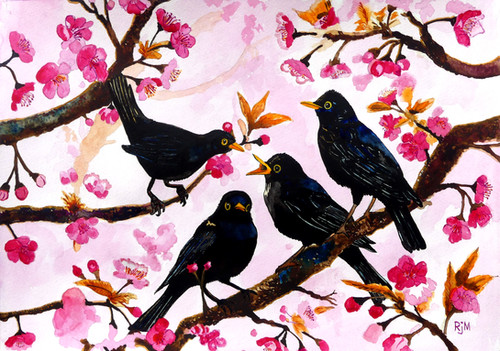Four Colly Birds - Mounted Print | Milky Way Gallery