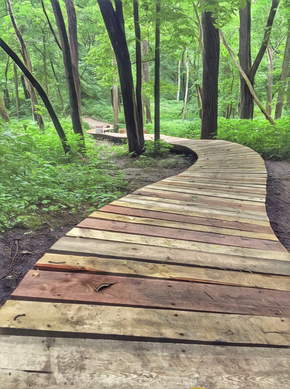 Trail Development | United States | Backyard Trails LLC