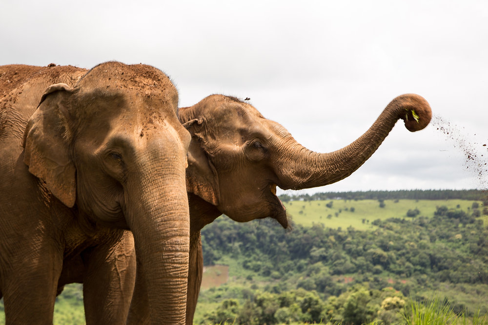 Tourism & Destination: Mondolkiri, Towards the Land of Elephants