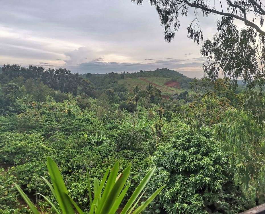Destination – Guide : Mondolkiri, la « rencontre des collines