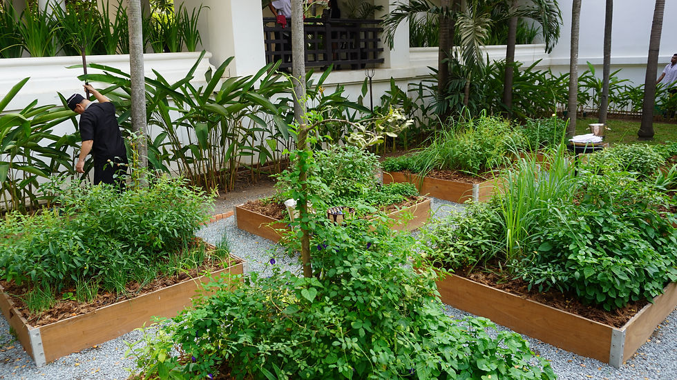 In photos & Gastronomy: Discover the "Gin Gardens" at the Raffles