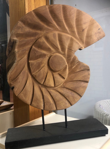 Sea Shell Carved Sculpture 60cm | Prime Liquidators