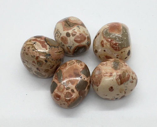 Leopardite | Rock-n-Granny