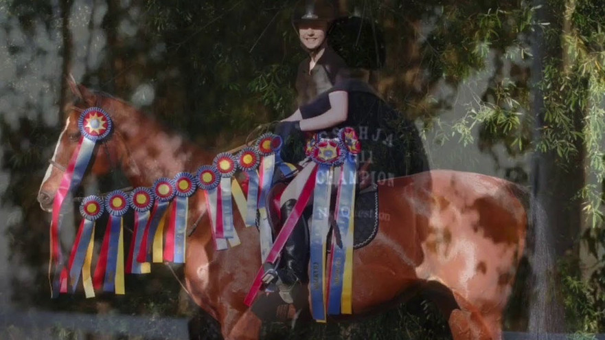 Gallery | Rachel Roman