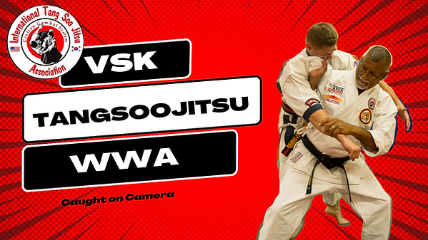 Grandmaster C | Martialartsschoolofsurvival | Apollo Beach