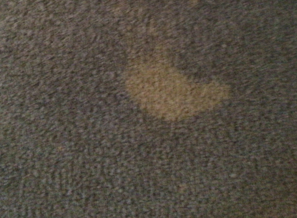Is it a spot, a stain, or a discoloration and can it be fixed?