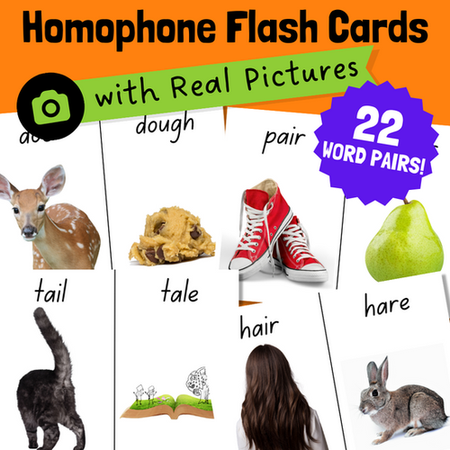 Homophone Flash Cards with REAL Photos for Ages 7-12 | All the Write Colors