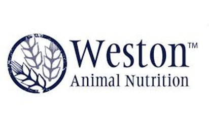 New Position Available