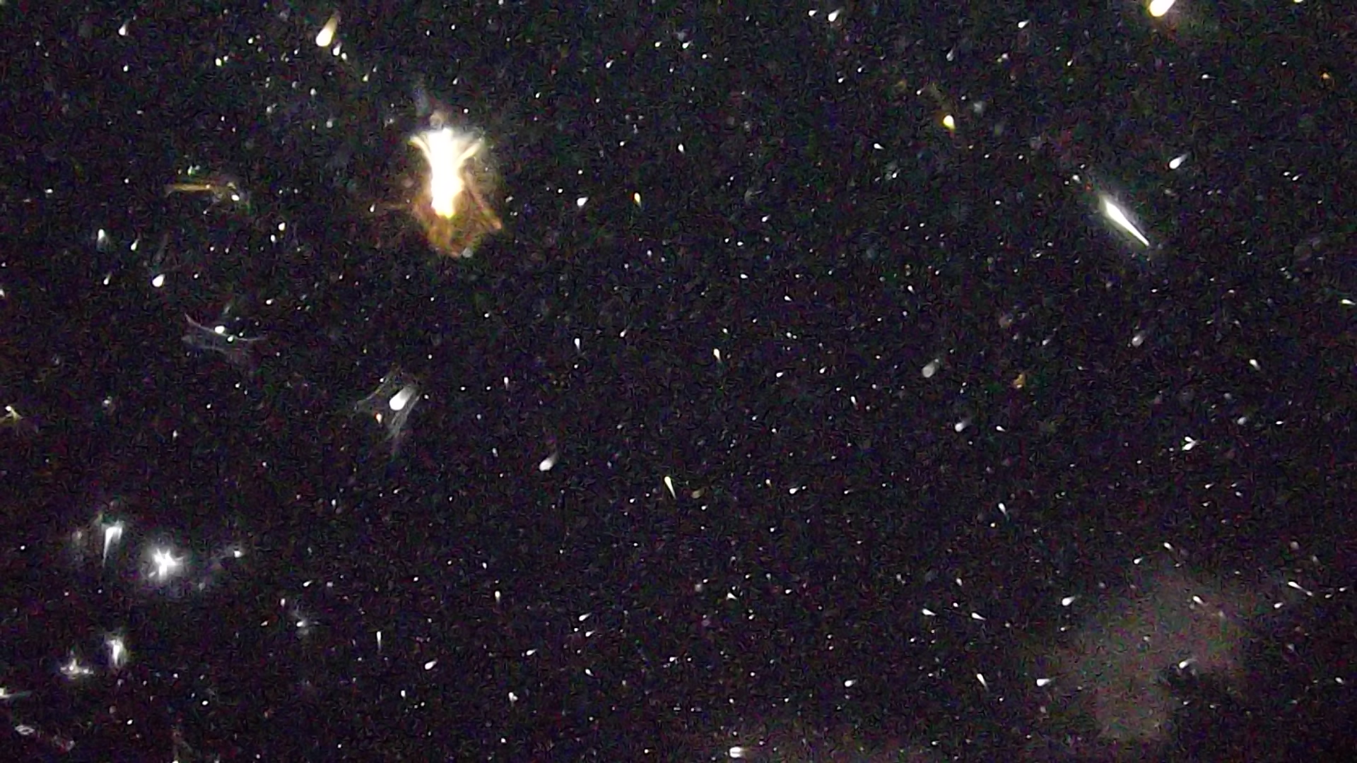 LES ORBES | savoirs-et-etre