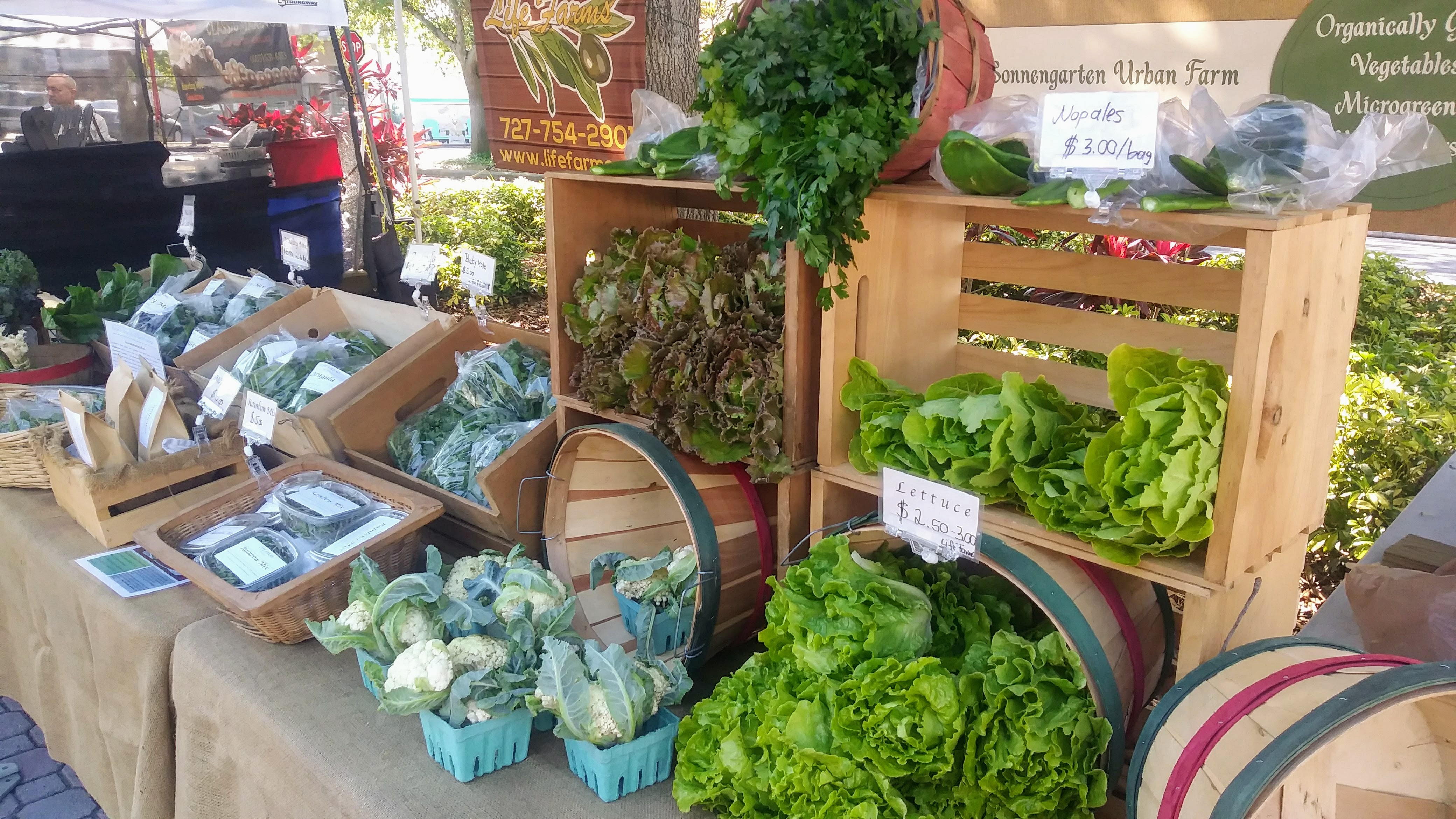 CONTACT & FAQ | Life Farms