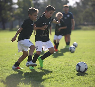 Soccer Training Programs | Football Brilliance