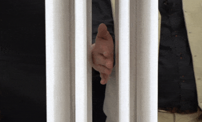 Flapping Wing Room Fan. | Indiegogo