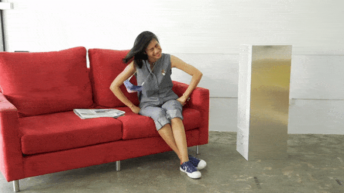 Flapping Wing Room Fan. | Indiegogo